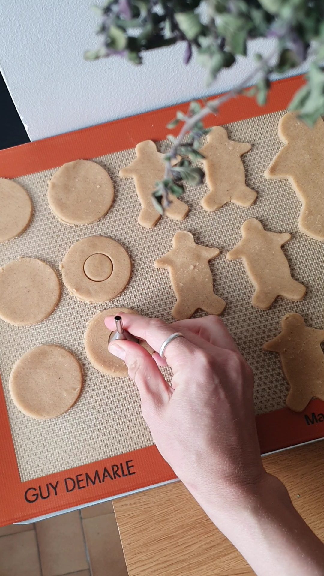 Biscuits lunettes Épices/Myrtilles - Les Petits Chaudrons